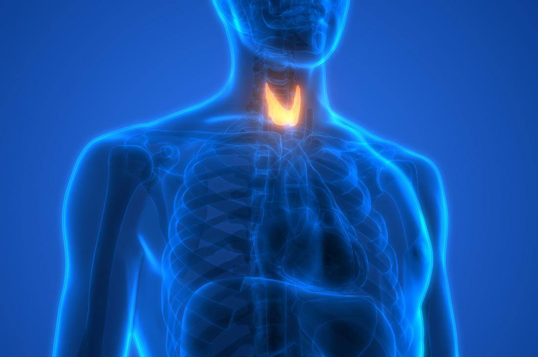 operacije štitaste žlezde sa brzim i lakim oporavkom | Trendovi u ...