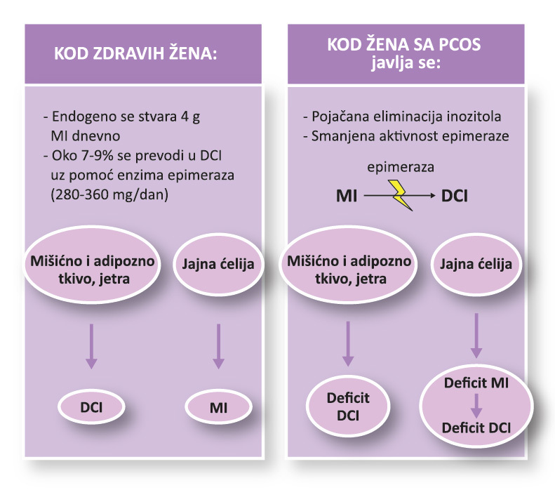 miocystinn fertile, innventa pharm | preparati i suplementi, zdravlje i ...